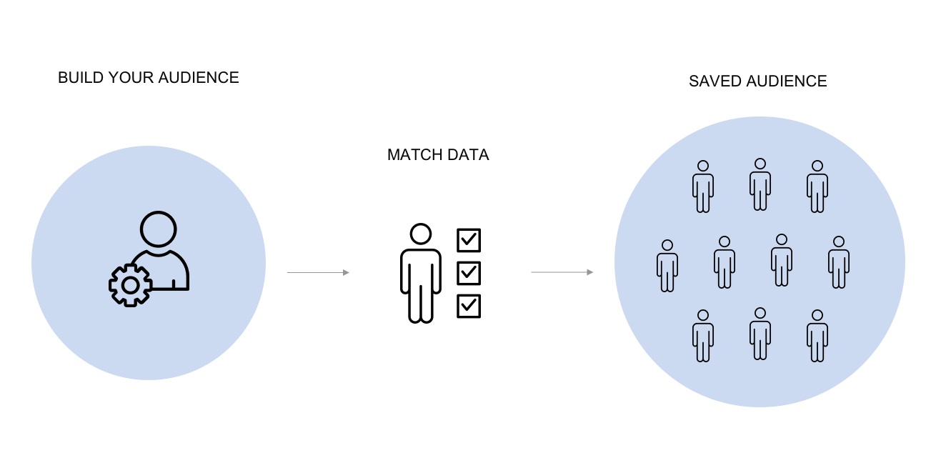 Meta Audiences & Ads